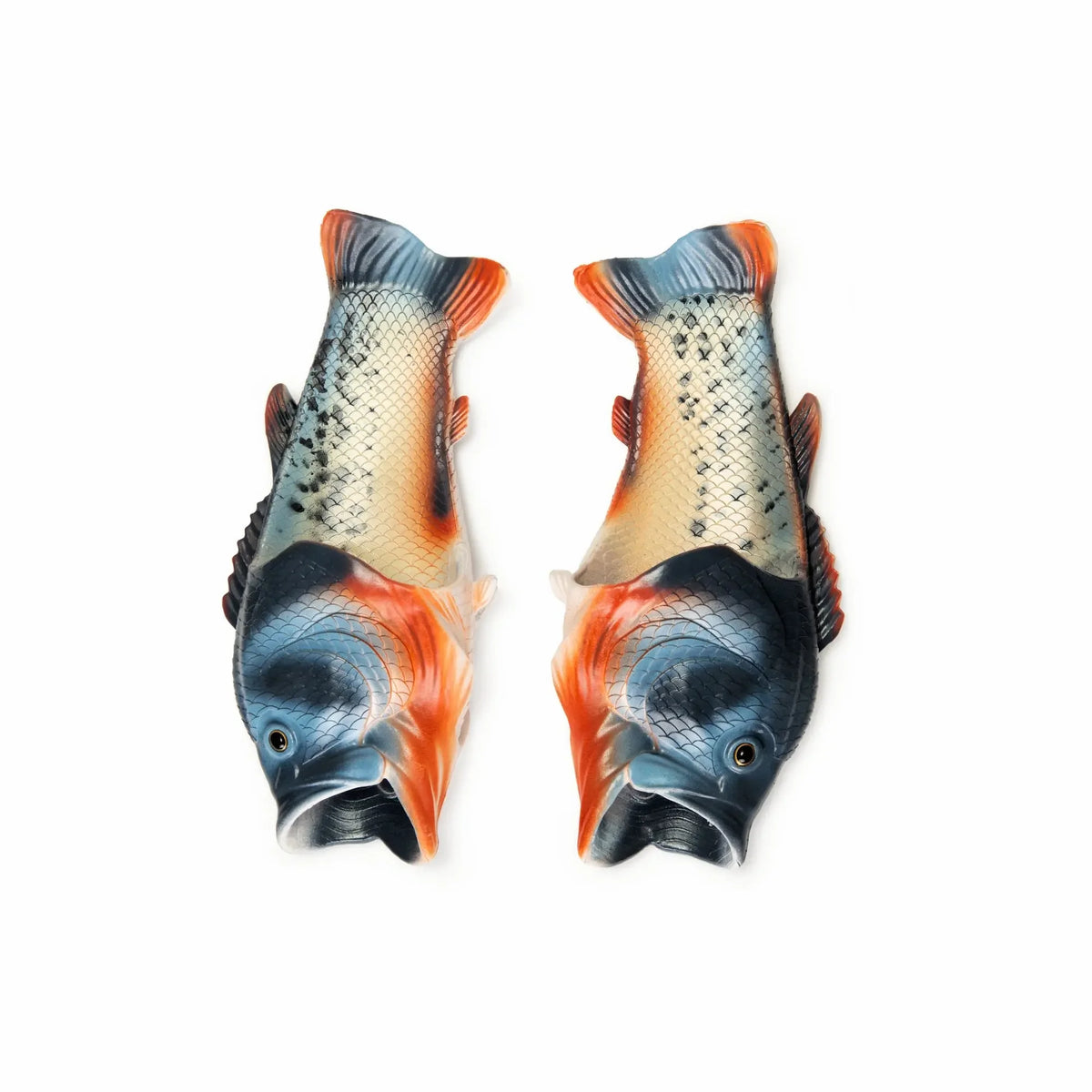 Coddies® Pearl Danio Fish Flops™